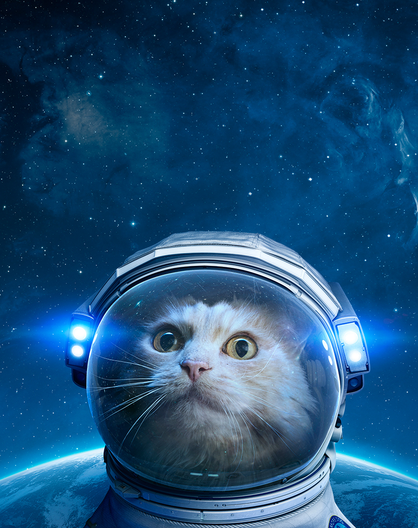 Say Hello Spaceman: O2 Be More Dog - Space Cat (2014)