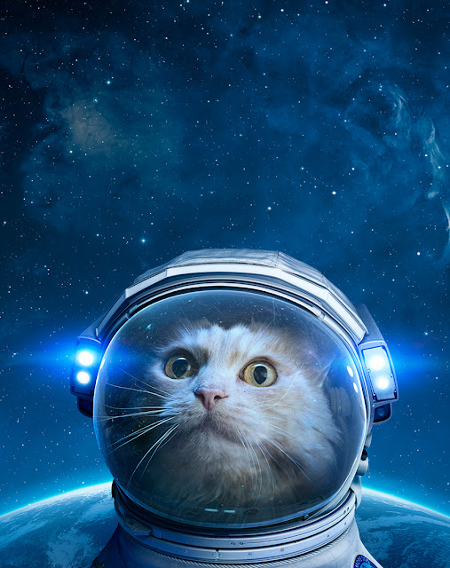 Say Hello Spaceman: O2 Be More Dog - Space Cat (2014)