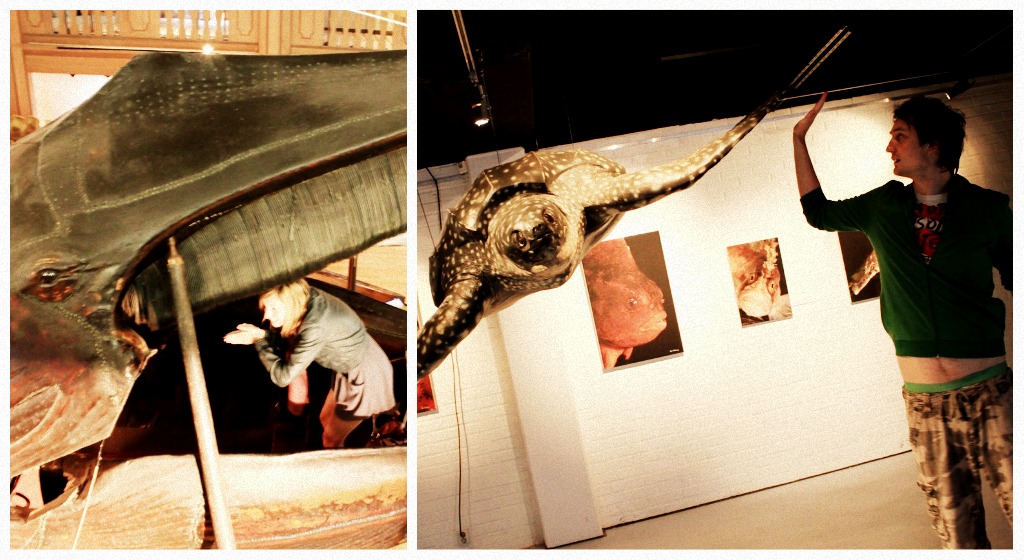 picture postcards: Inside the mouth of a whale