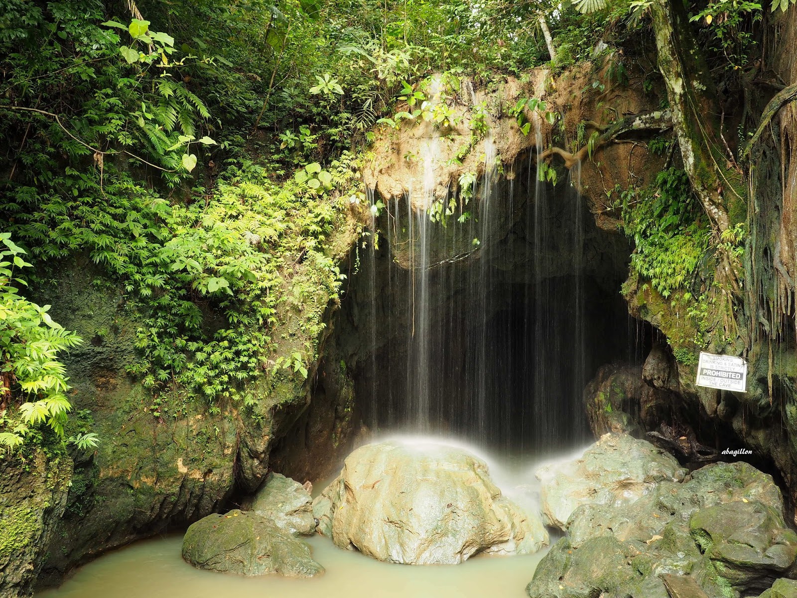 Andrea's Plants, Photos and Travels: Search for Some Waterfalls