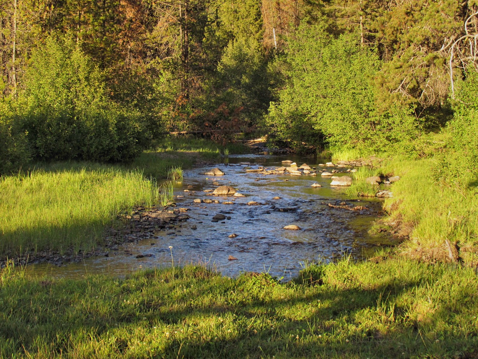 Adventures of a Vagabond Volunteer: Exploring Malheur National Forest