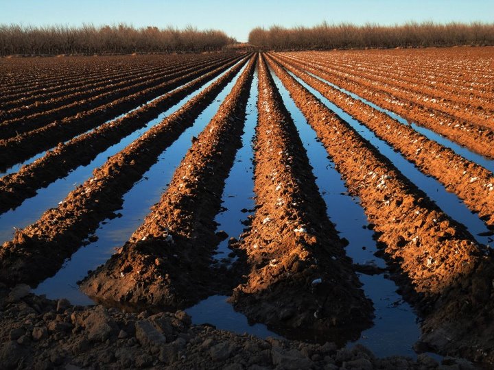 Crop Production Technology for Bt Cotton Varieties in Pakistan
