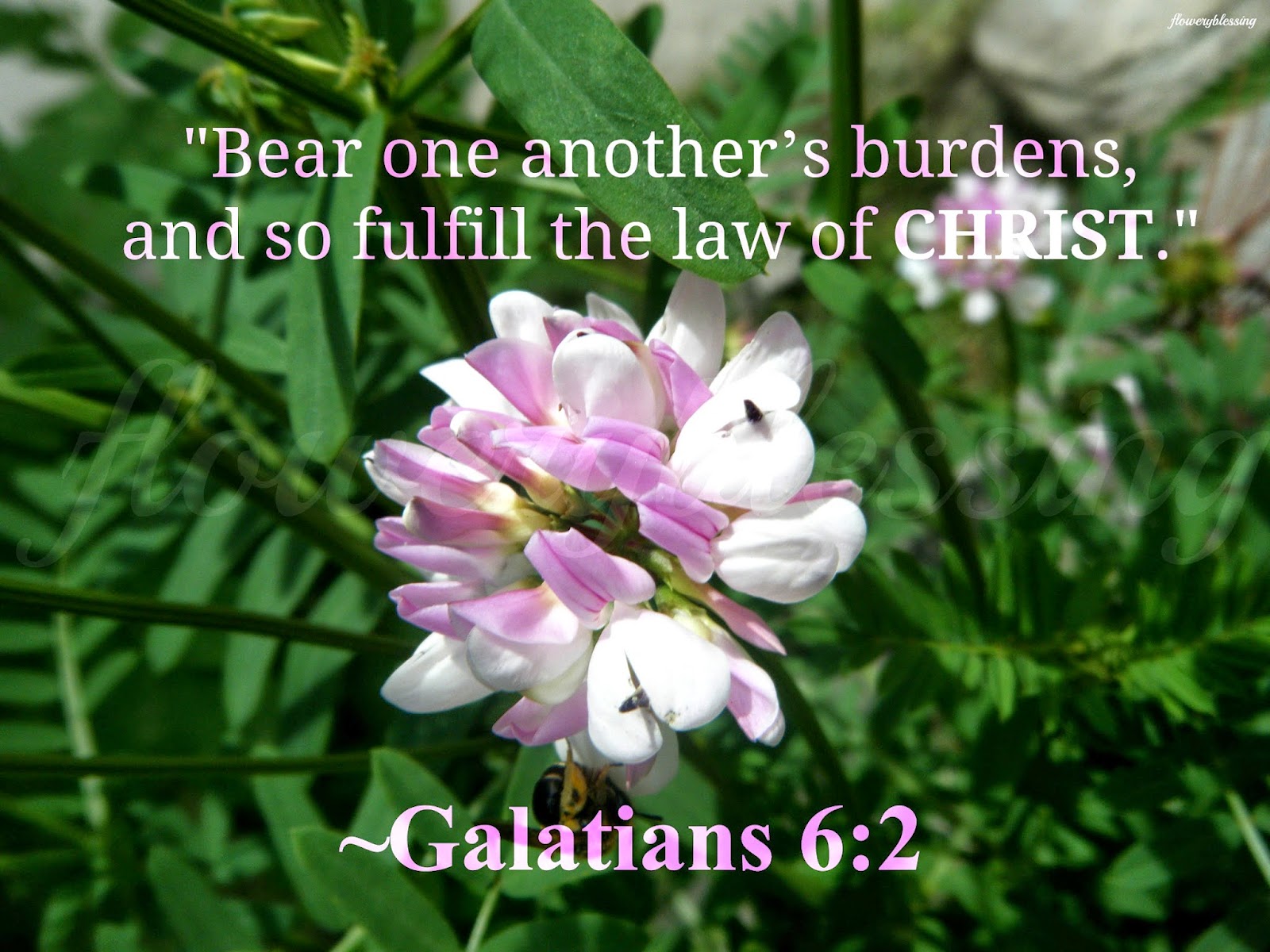 Flowery Blessing: "Bear one another’s burdens, and so fulfill the law ...