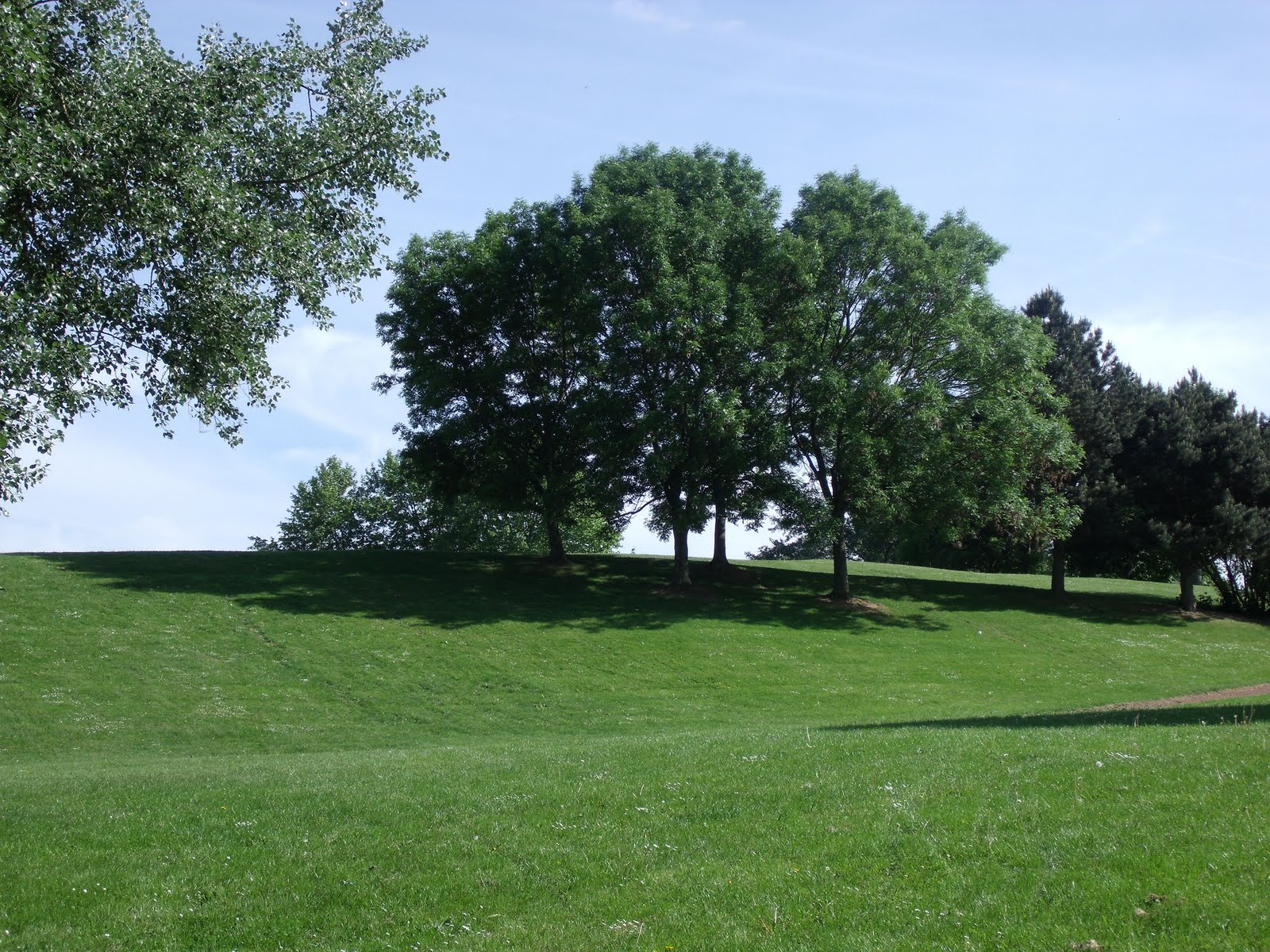 Green eyes: le Terrain vert de Calonne