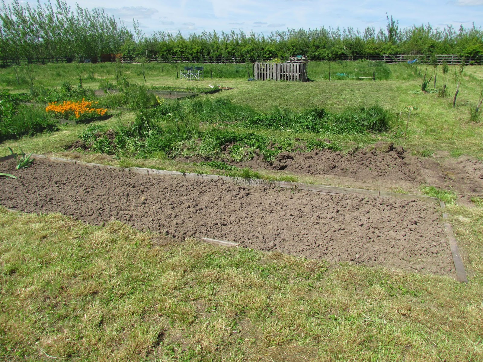 Woodlouse House: Allotment