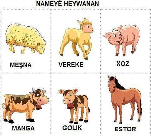 ZAZACA HAYVAN İSİMLERİ - ZAZALARA DAİR DOĞRU BİLGİ