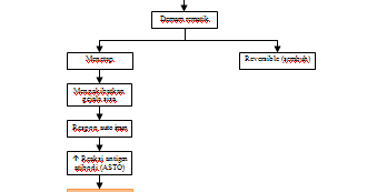 Asuhan Keperawatan dan LP: REUMATIK HEART DISEASE (RHD)