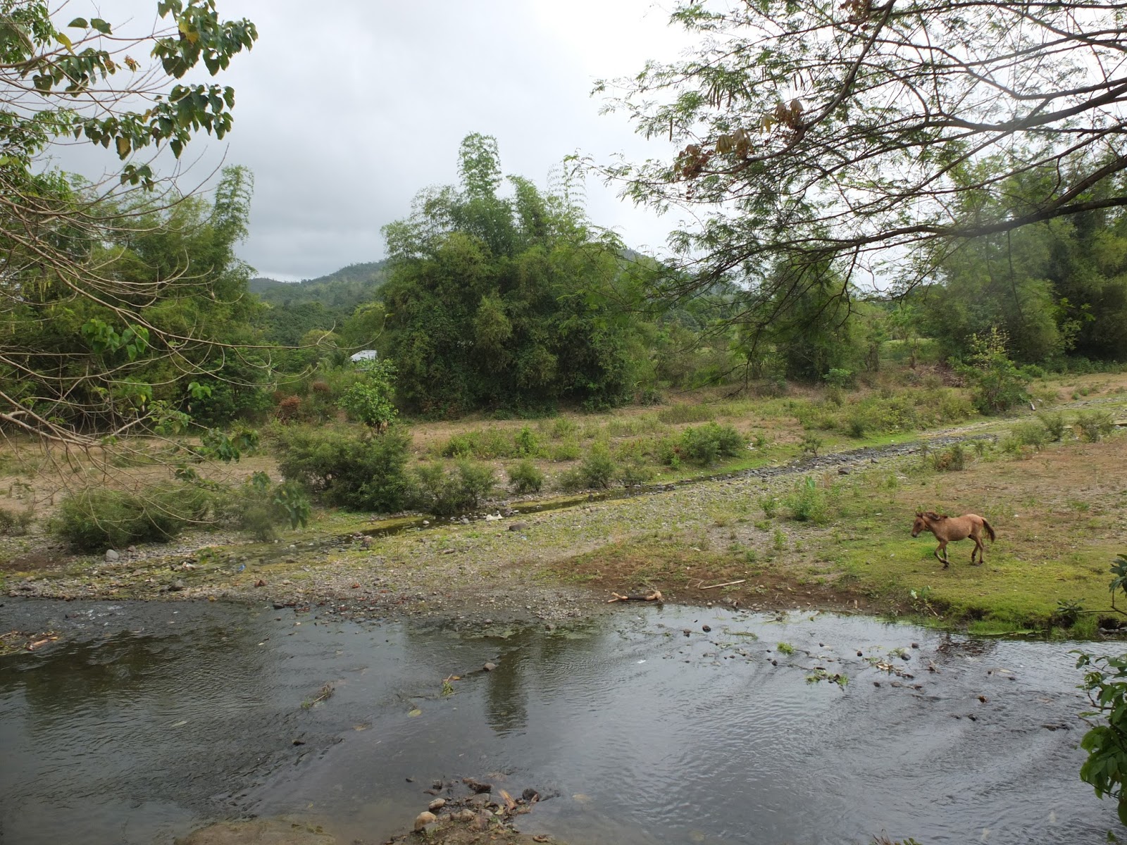 Mount Purro Nature Reserve : Eat,Pray,Love - The Filipino Rambler