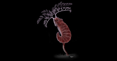 Life Before the Dinosaurs: Herpetogaster.
