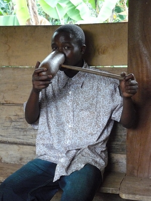 THE TEMU'S FAMILY TREE: THE ORIGIN OF TEMUS FAMILY