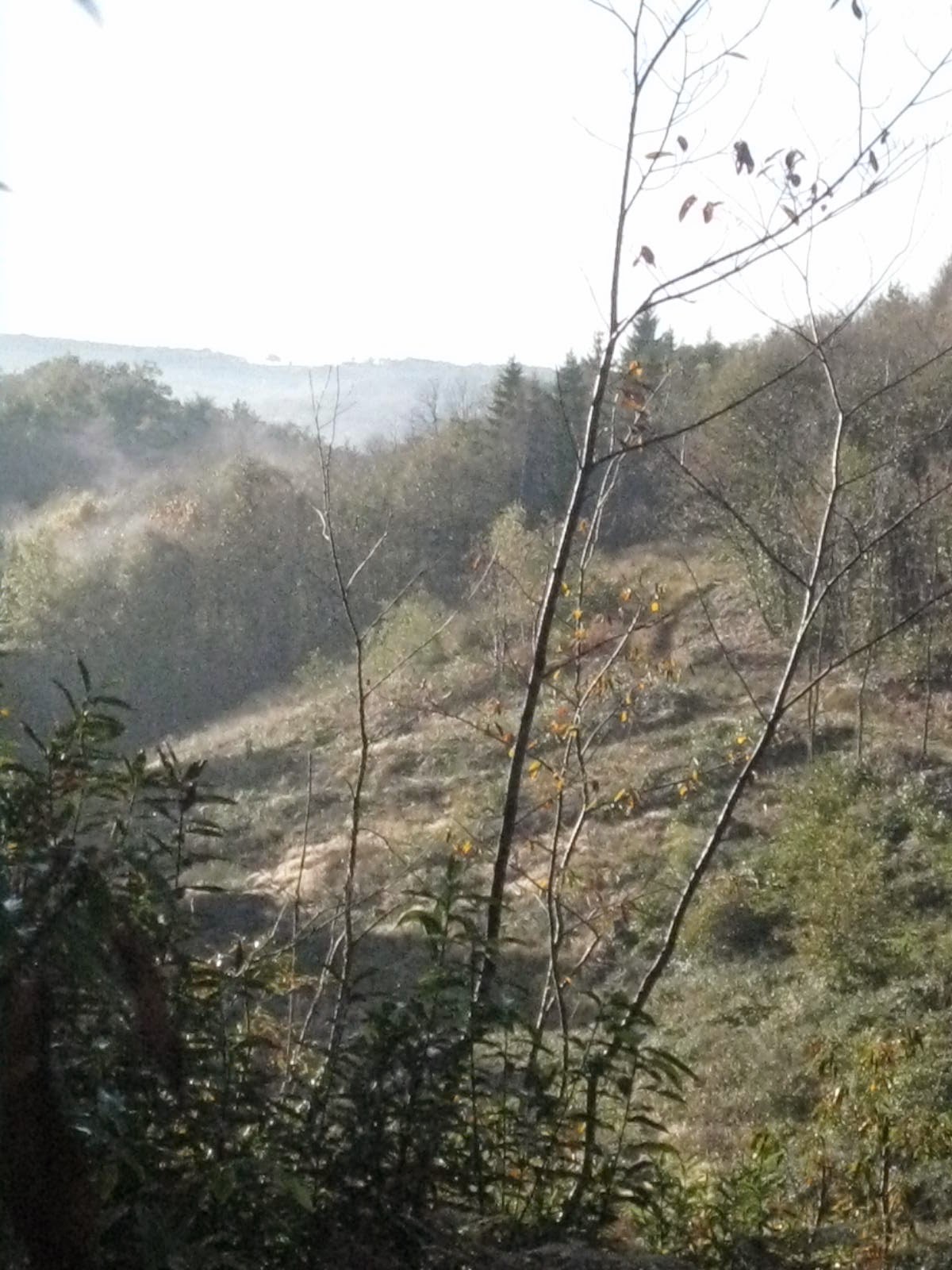 Bourdoux (Jumilhac-le-Grand, Dordogne): 2014