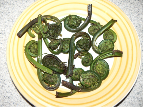 Cooking Is Alchemy: Sauteed Fiddlehead Ferns with Brussel Sprouts ...