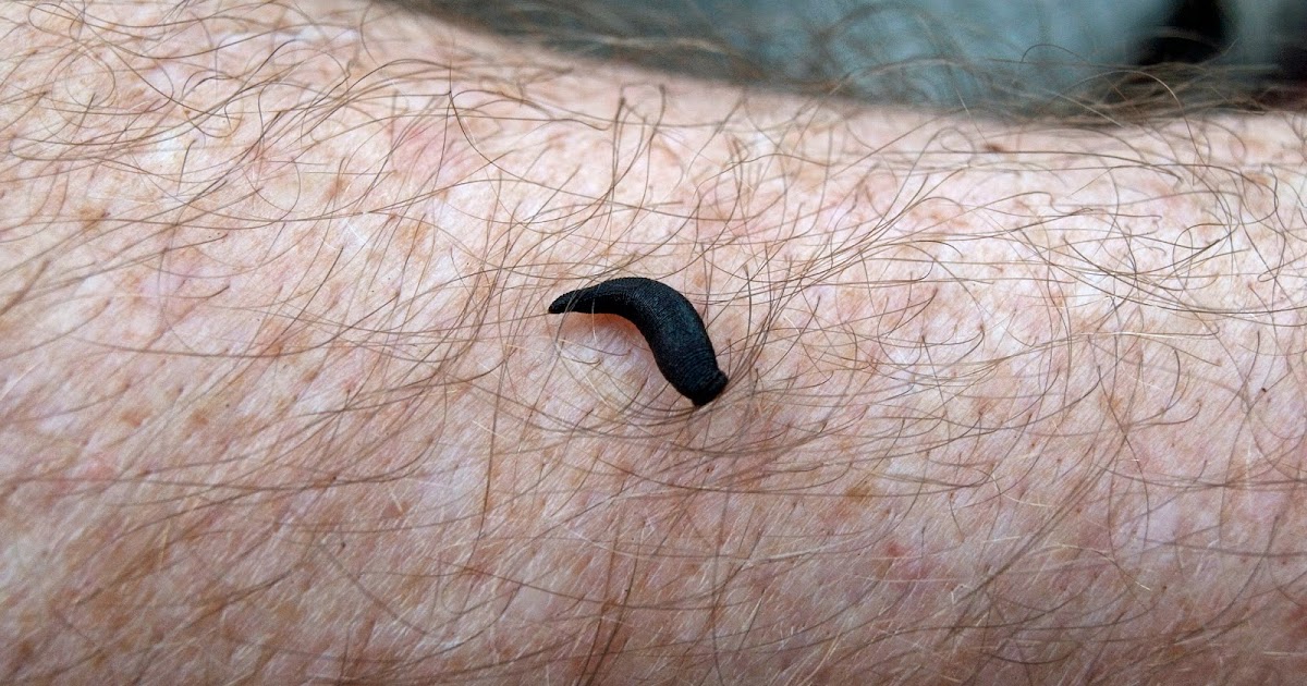 Nature Scribe: Four Lakes and a Mountain: Part 3