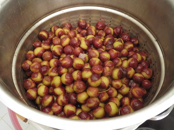 @ Bar 26: Plommon och Krikon och rosensocker