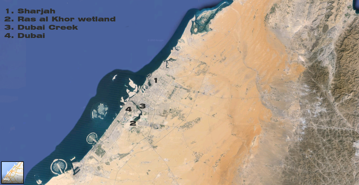 Freedom to Build: FTB 37 - Ras Al Khor, Dubai