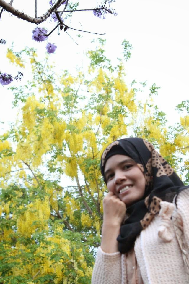 Saat Golden Chain Blossom (Bunga Nasional Thailand) Bermekaran ...