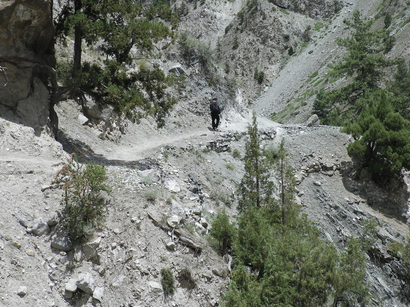 Fairy Meadows - Pakistan: Jeep ride Raikot bridge to Fairy meadows Pakistan