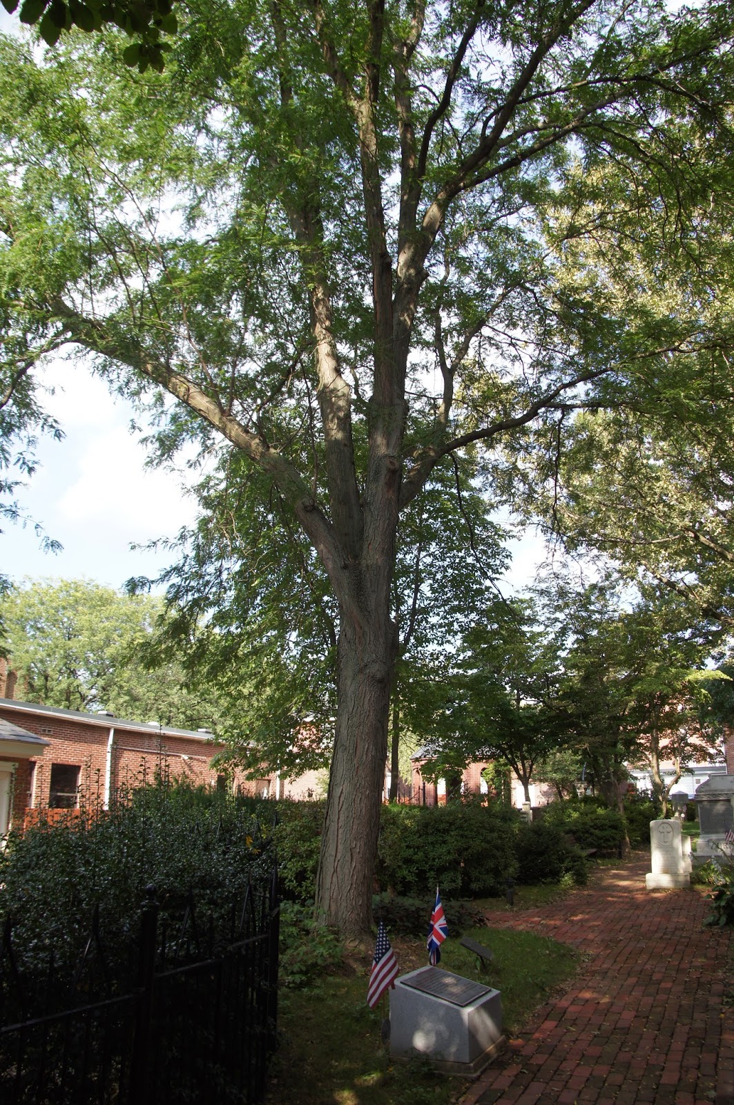 Extraordinary Stories From An Ordinary Guy: The "The Magnificent ...