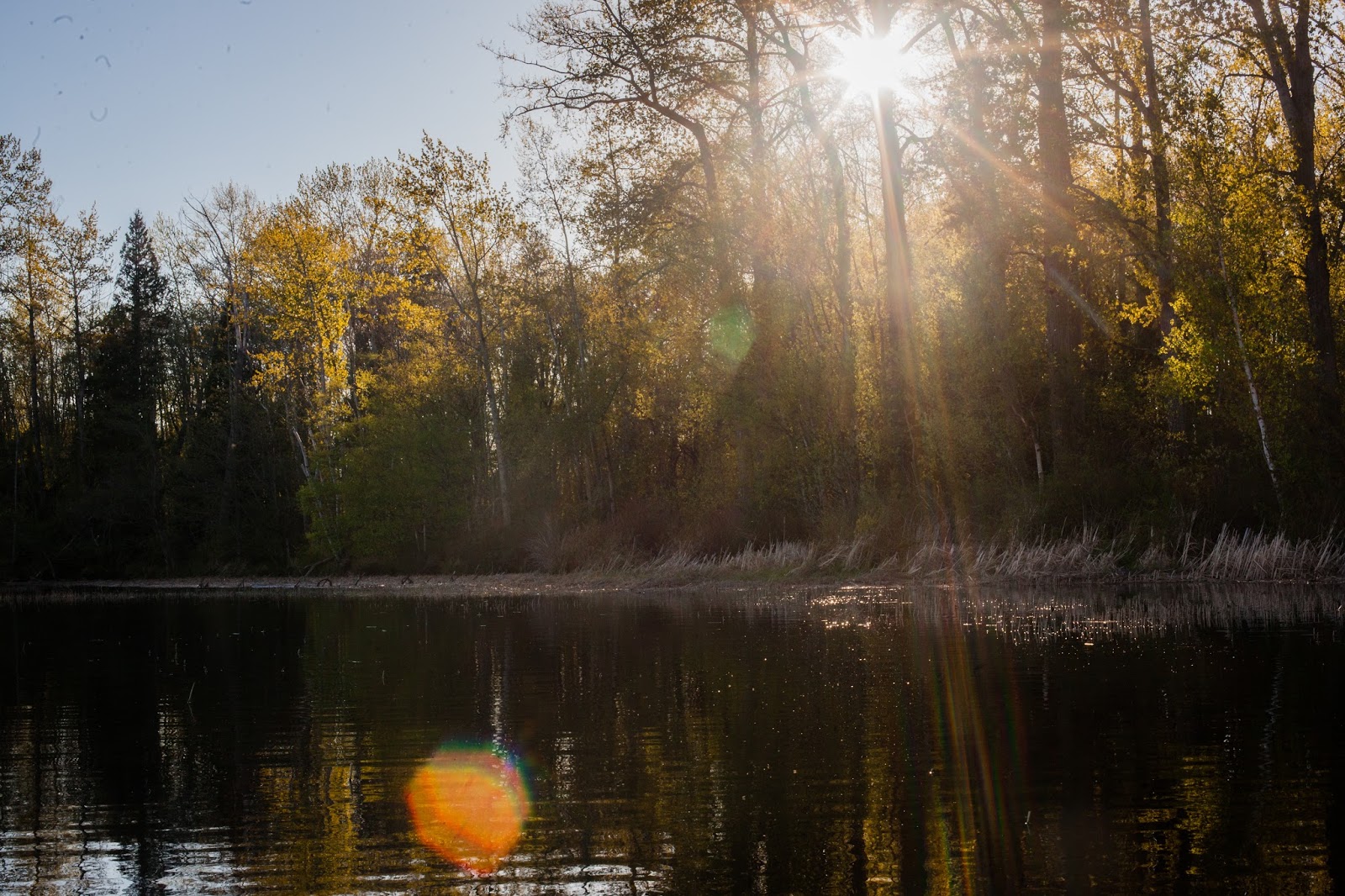 An Outing: Lake Terrell - Parks Academe