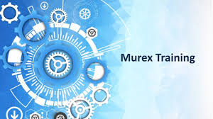 murex training videos