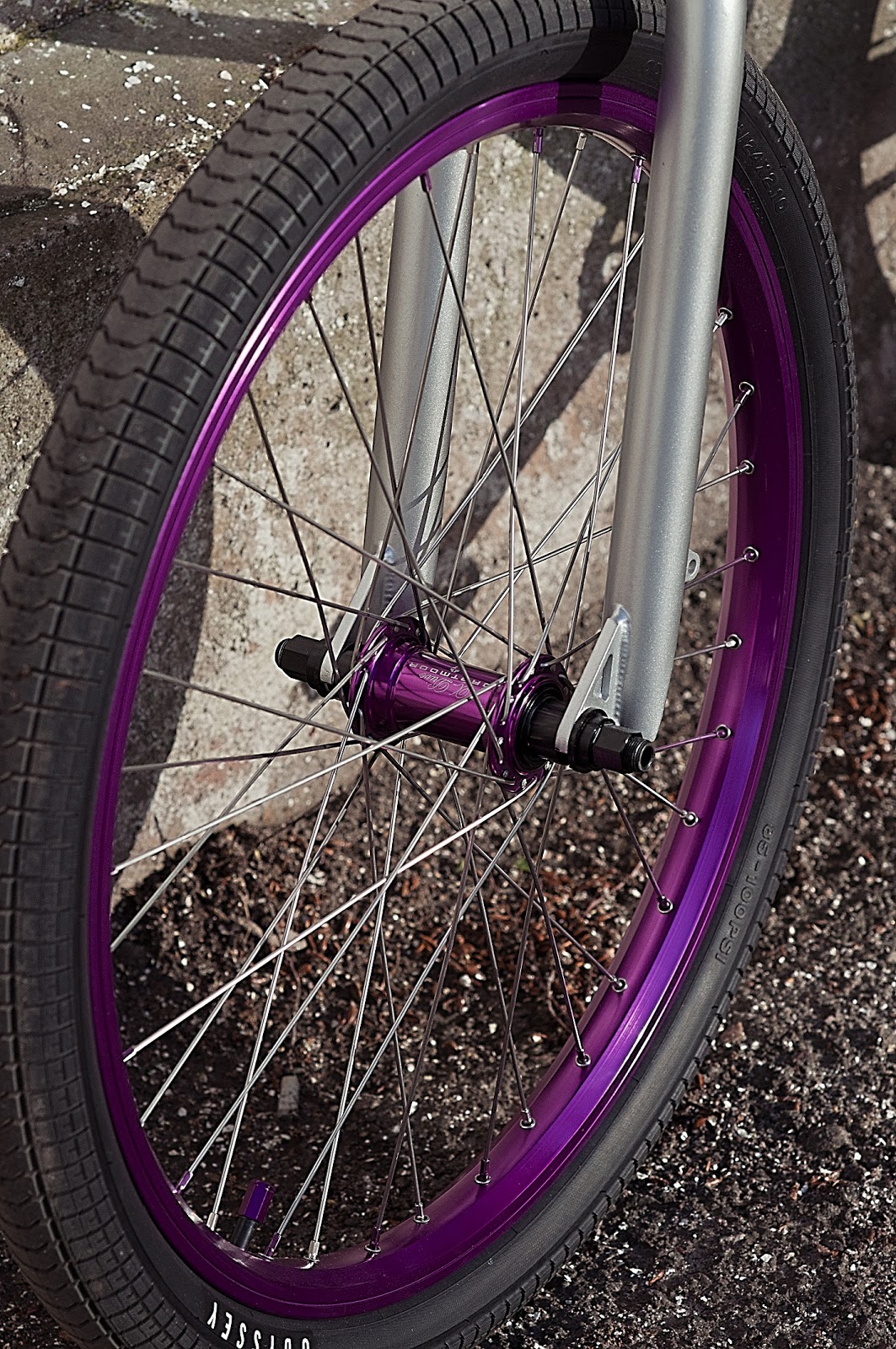 Litegallery: Dartmoor Freaky by Aleksandr Solovyov