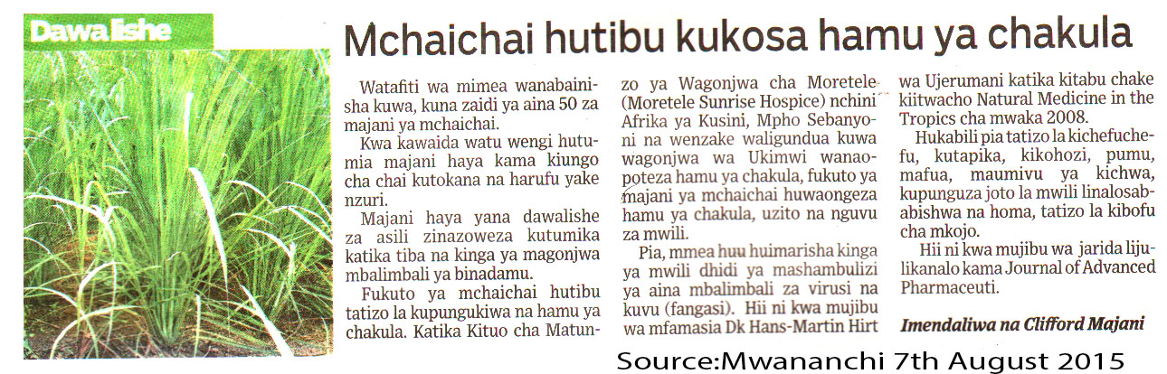 Vijanatz TV: Mchaichai hutibu kukosa hamu ya chakula