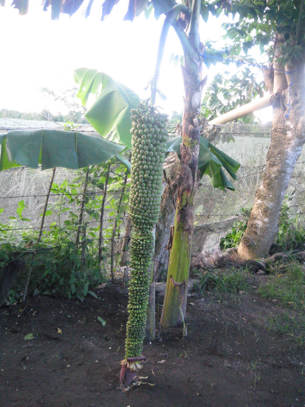 bucaio: Road Trip from GenSan