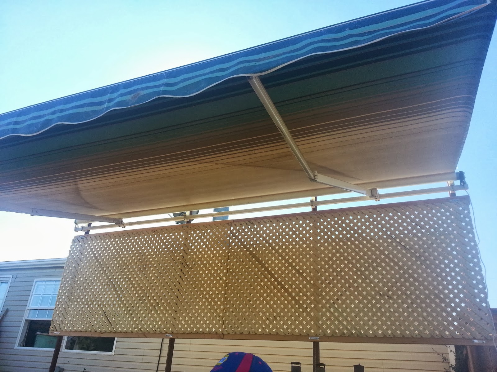 Modern Day Redneck: Basking In The Shade