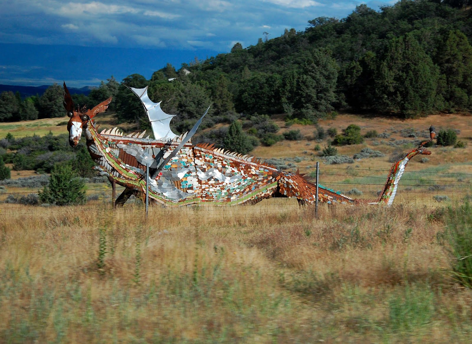 Salem, Oregon Daily Photo Diary: Dragon Sighting