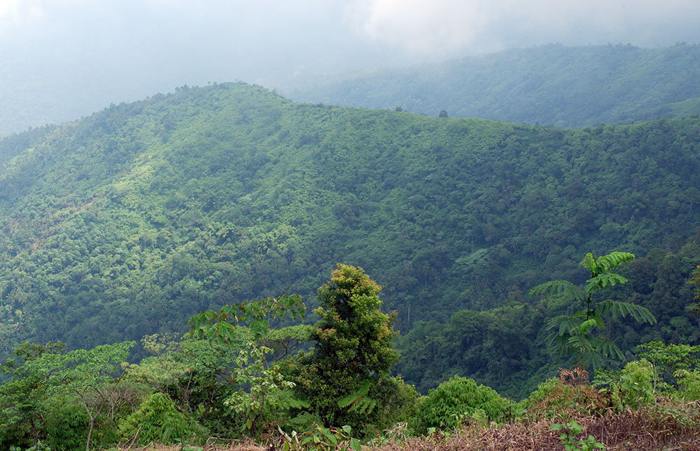 LOGSAC: Mt. Loay Independence Day Hike