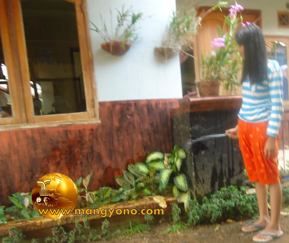 Waktu yang tepat untuk menyiram tanaman bunga