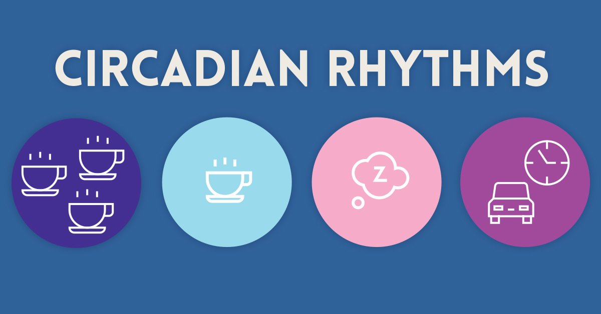 What is circadian rhythms? - Your Healthy Fix