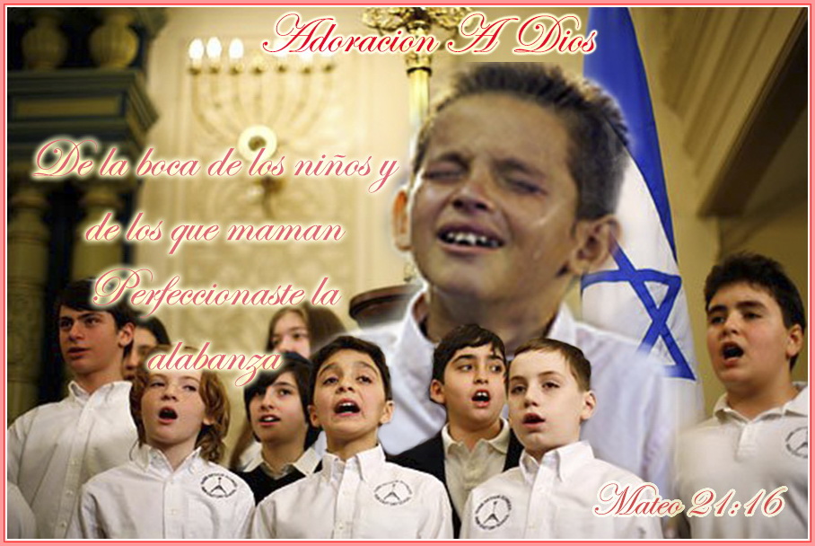 El Tesoro Biblico: TODA LA CREACIÓN ALABA AL SEÑOR