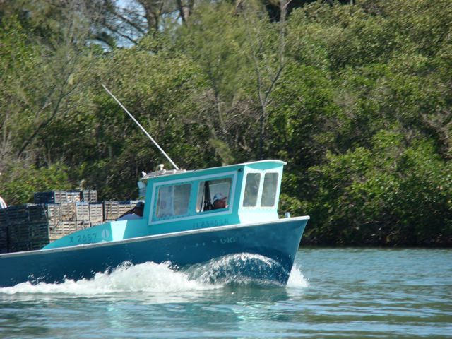 Southwest Florida Shoreline Studies: Stone crab boats head out