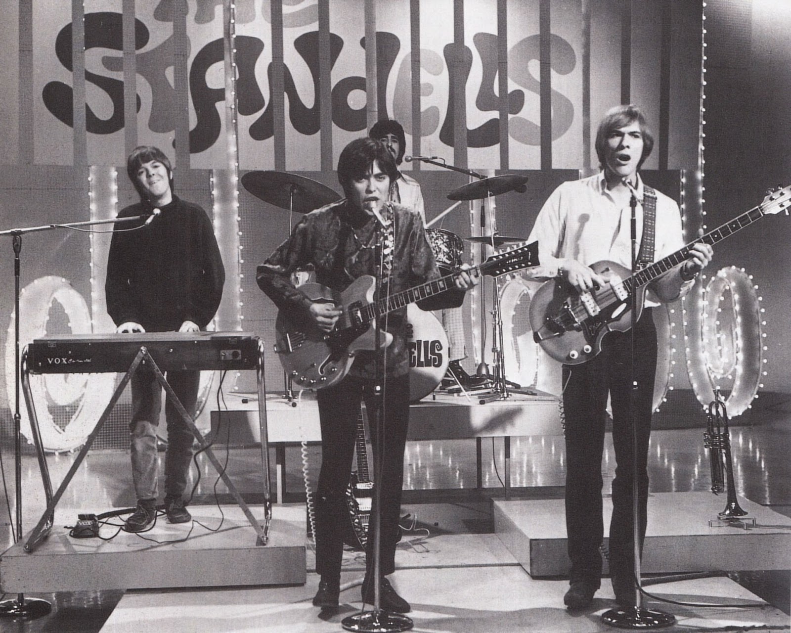 Forestdweller: The Standells