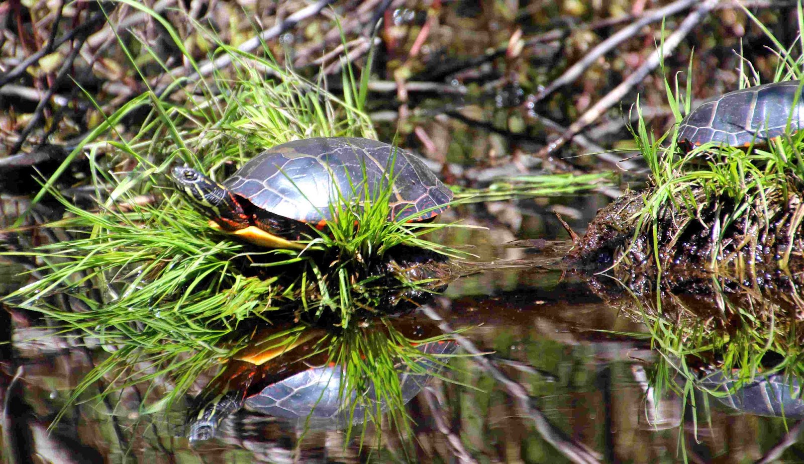 Avalonia eTrails: A Perfect Weekend!