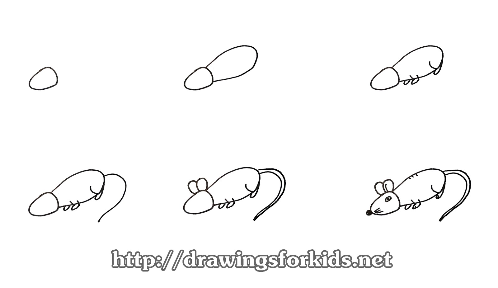 How to draw a Mouse for kids