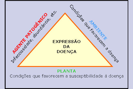Doutor do Campo: #3 - Introdução a Fitopatologia, parte 1