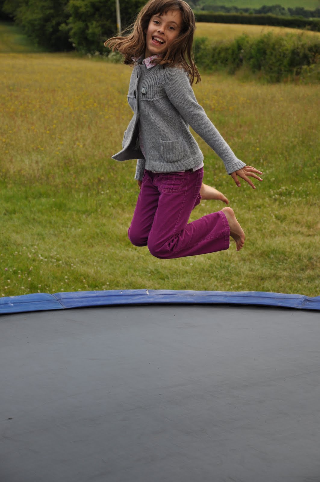 Cats, Dogs and Eiderdowns: Goren Farm, Part One