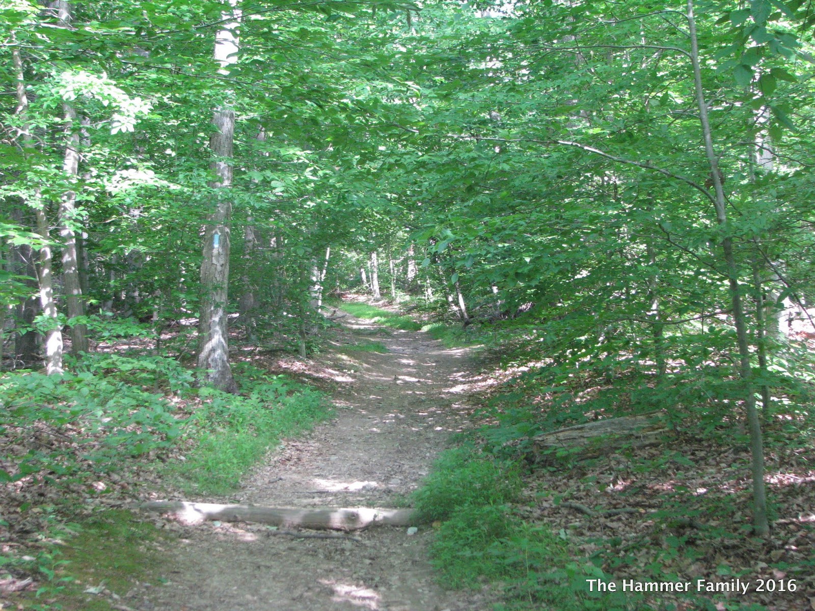 Hiking With Hammer: Cunningham Falls State Park - Manor Area, Bob's ...