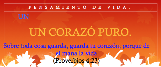 Paso a Paso: Un Corazon Puro