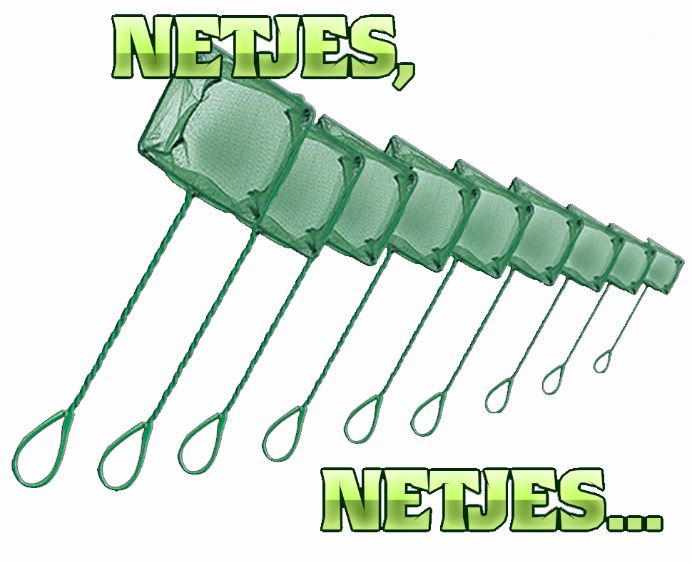 DutchFunQuotes: Netjes, Netjes ...