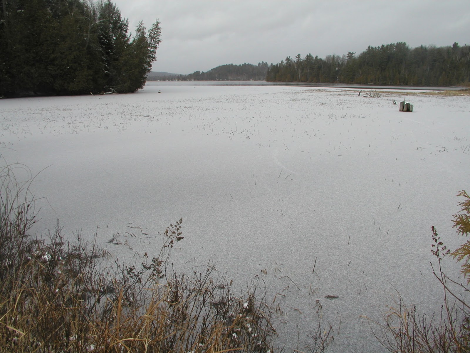 Elephant Lake Cottage Road: Some ice