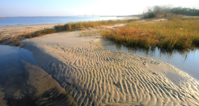 Rocky Point Marsh Makers: Rocky Point Marsh Post-Sandy by Frank De Sisto