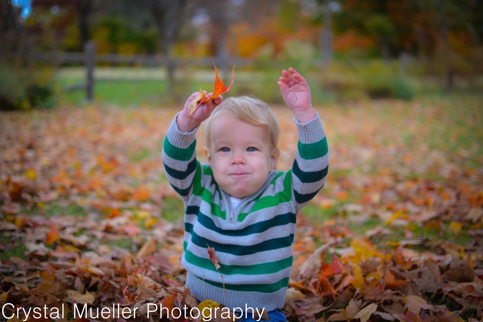 Crystal Mueller Photography: Fall Family Photo Shoot - MY KIDS!
