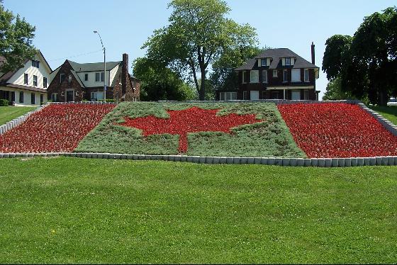 Canada's Flowers Flag - All Flag