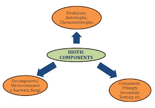Biotic Component