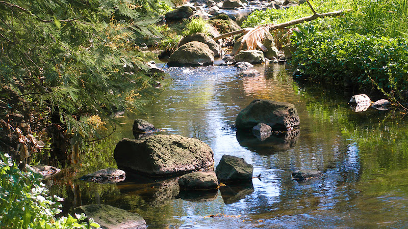MAP: DAREBIN PARKLANDS