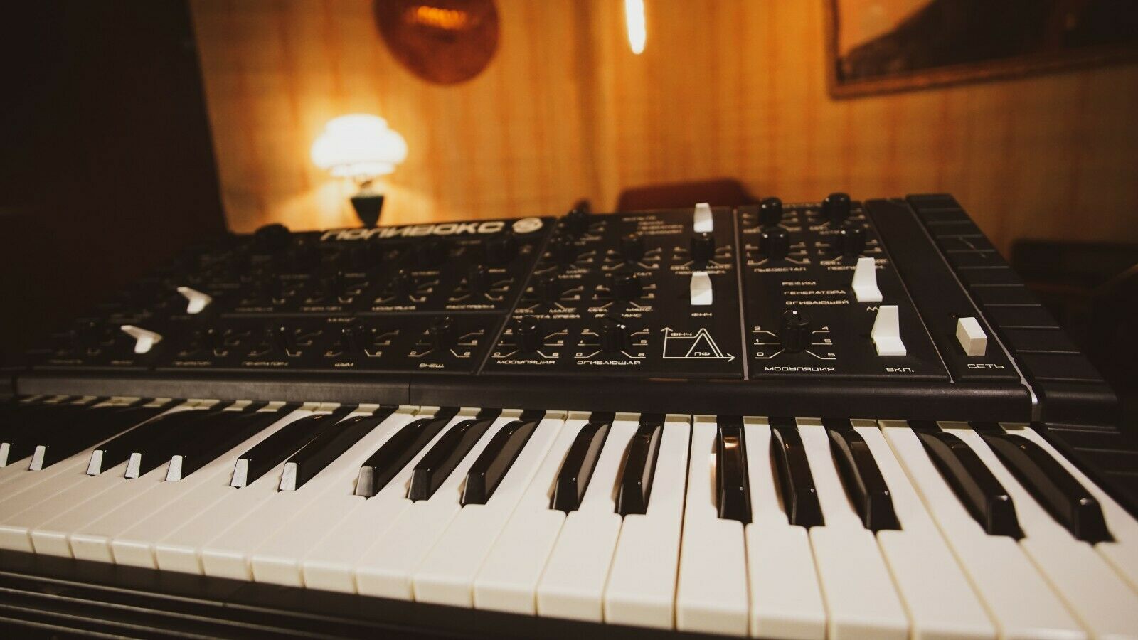 MATRIXSYNTH: Polivoks Polyvox Vintage Soviet Analog Synthesizer SN 0290481