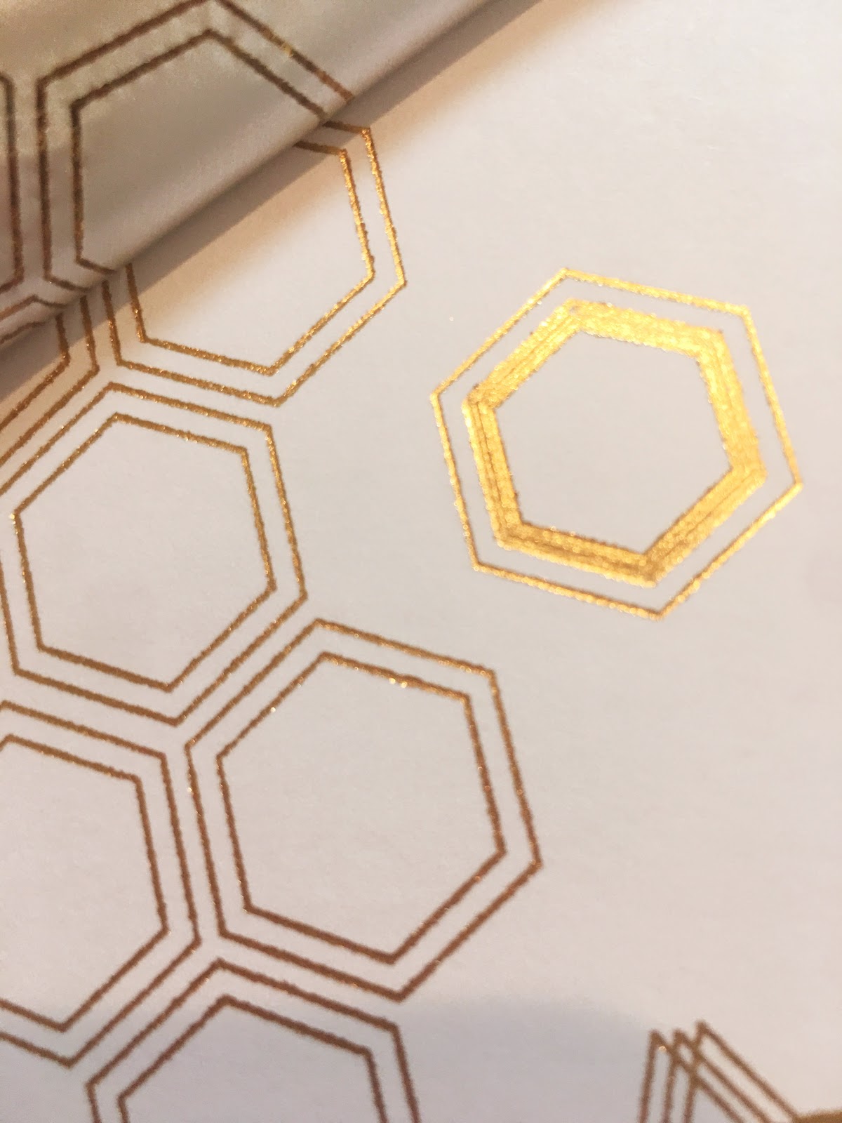 Foil Quill Unboxing, Set Up, and Best Silhouette Cut Settings ...